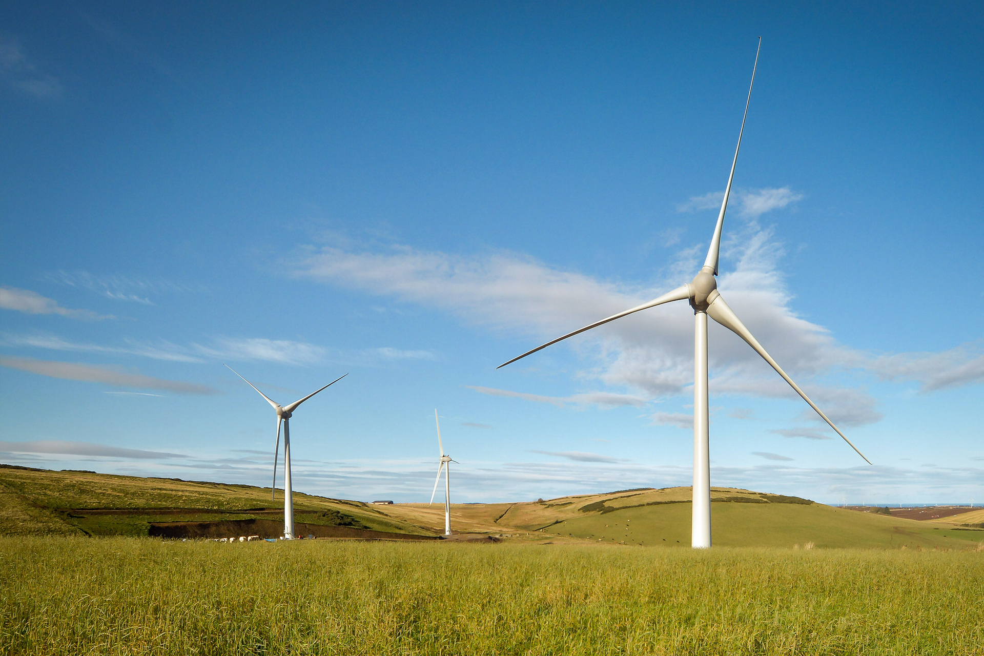 Contact - Green Cat Renewables