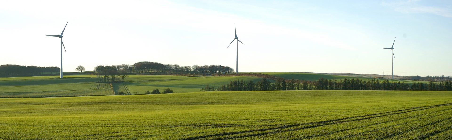 Services - Green Cat Renewables