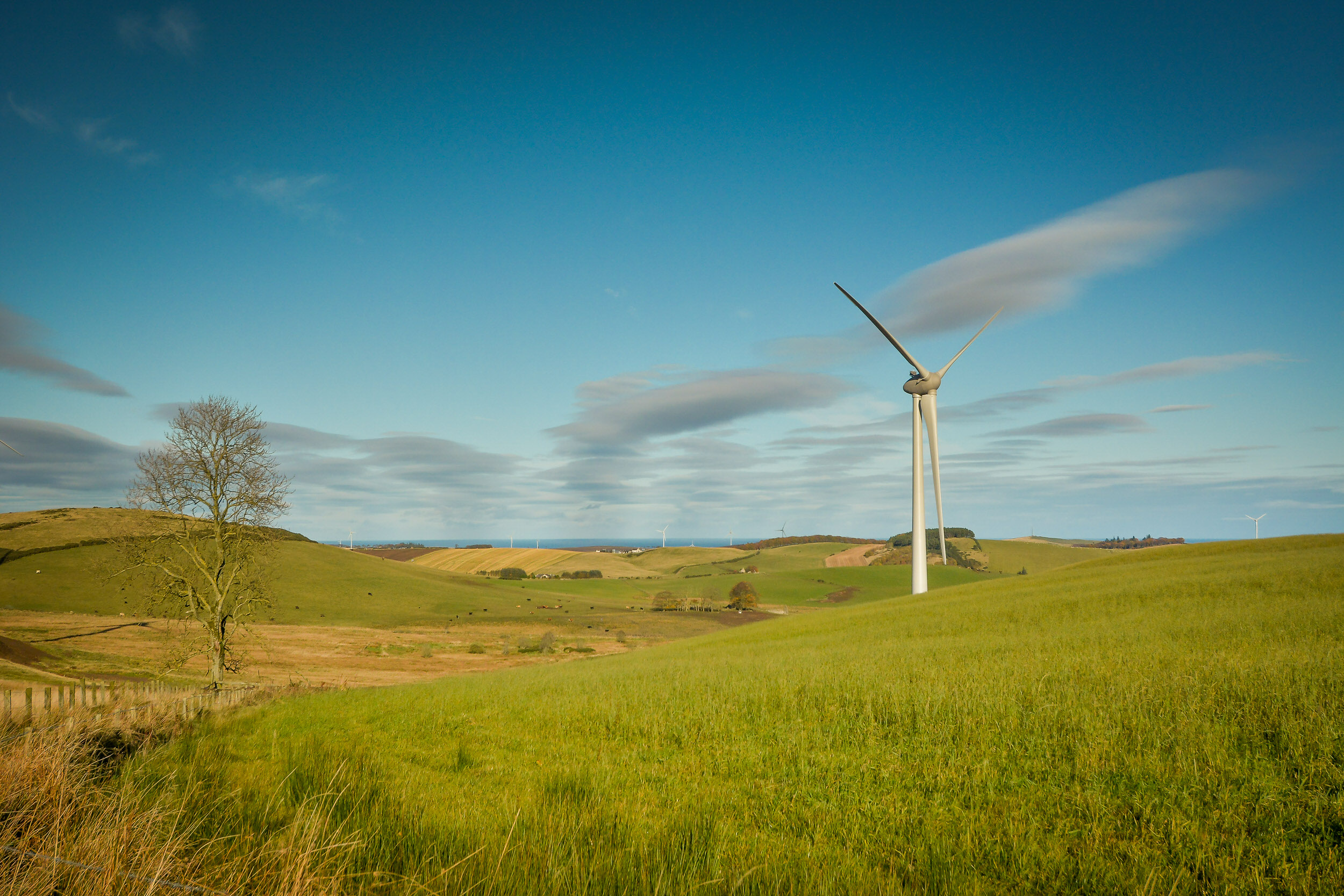 Due Diligence - Green Cat Renewables