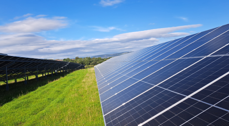 Bryngolwg and Horsey Levels Solar Farms - Green Cat Renewables